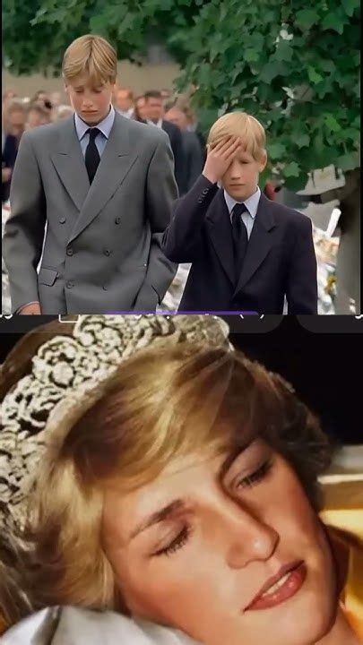 Prince William And Prince Harry Crying Princessdiana Ladydiana