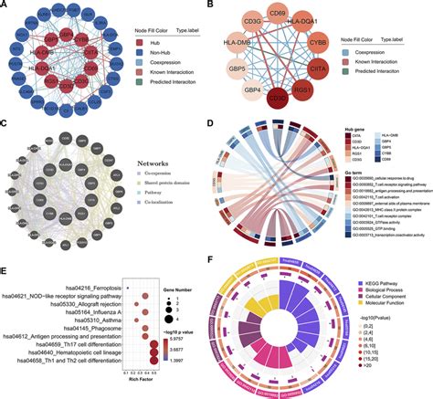 Hub Gene Identification And Functional Annotation A Ppi Network Of