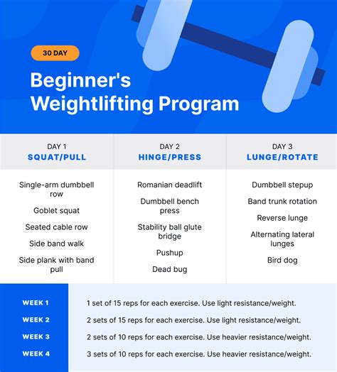 Weightlifting Online Program At Henry Lawrence Blog