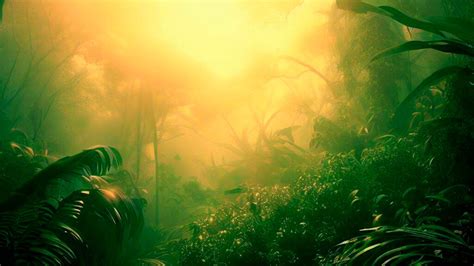 ¿qué Es Un Bioclima Descubre Cómo Afecta El Clima A Los Seres Vivos