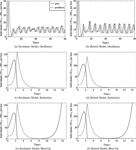 Simulations Of The Spatial Lotkavolterra Model With Parameters