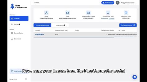 Tradingview To Metatrader 5 How To Set Up Pineconnector Ea Step By Step Youtube