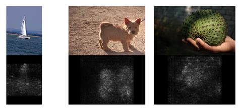[paper] tell me where to look guided attention inference network cam