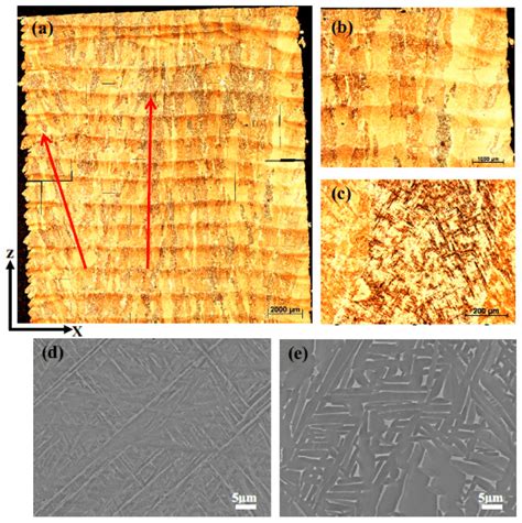 a c om x z sectional micrographs showing grain structure in as ded