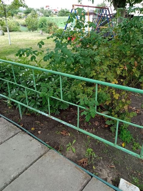 Ограждения для дачного участка, огорода. с.Рожны: 500 грн. - Прочие ...
