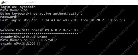 Dell Emc Data Domain Os Upgrade Serhad Makbuloglu