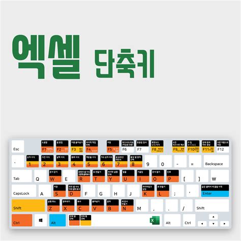 엑셀기초 워크시트 이름 변경 추가 삭제 이동 복사 색상 바꾸기 자막 artofit