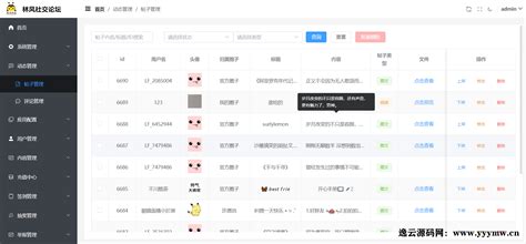 网站源码 逸云源码网