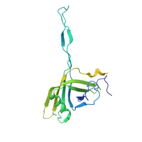 Rcsb Pdb 8k36 Structure Of The Bacteriophage Lambda Tail Tube