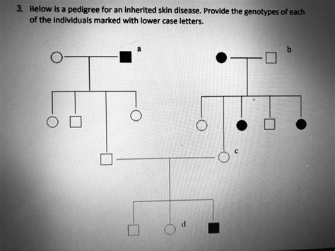 Solved Below Is A Pedigree For An Inherited Skin Disease Provide The