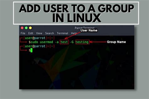 How To Add A User To A Group In Linux 2023 Guide Beebom