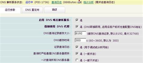 第 29 章 dns代理解析