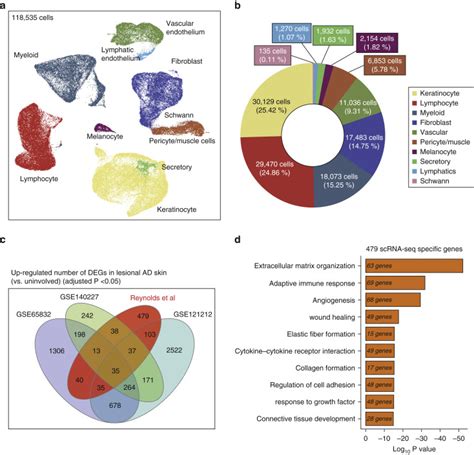Core Gene Signatures Of Atopic Dermatitis Using Public Rna Sequencing Resources Comparison Of