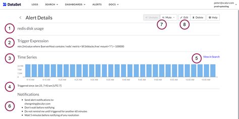 DataSet