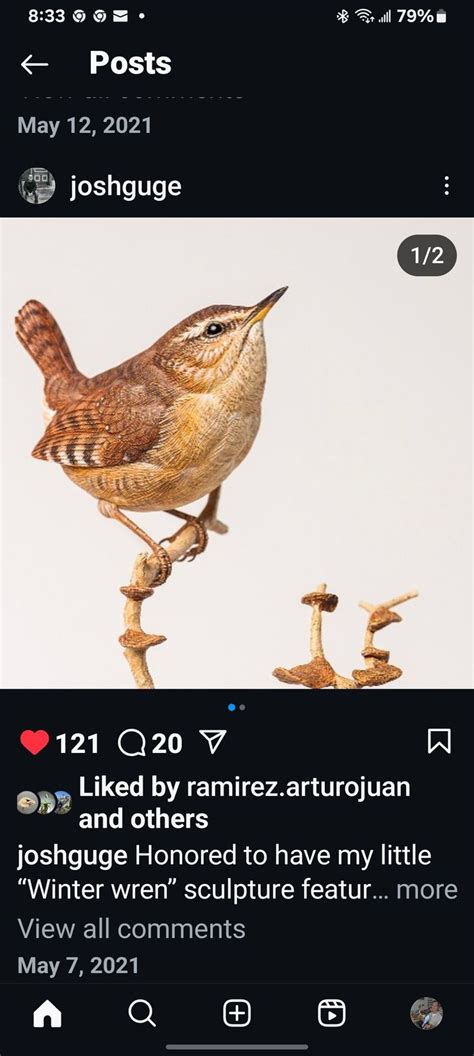 Pin By Choon Wong On Wen Wren Sculpture Post