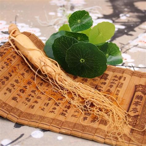 china munufacturer food grade peptide muscle building peptide ginseng