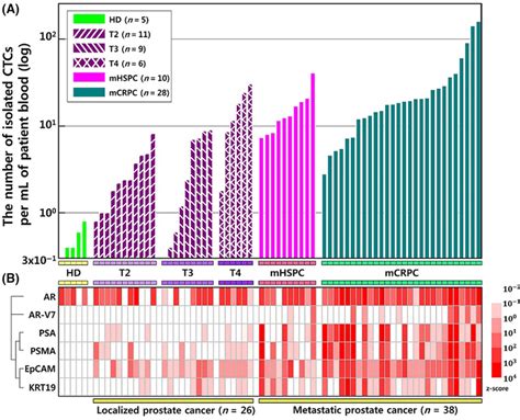 A The Numbers Of Isolated Circulating Tumor Cells Ctcs From Healthy