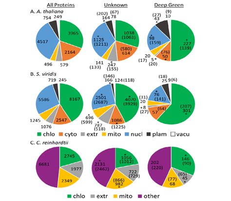 Predicted Protein Localization For A Arabidopsis B Setaria And