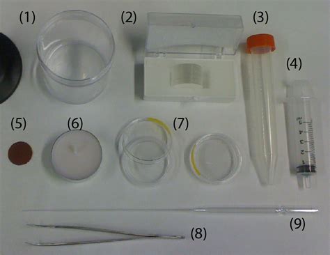 Different Strategies For The Fabrication Of Cell Culture Chambers For