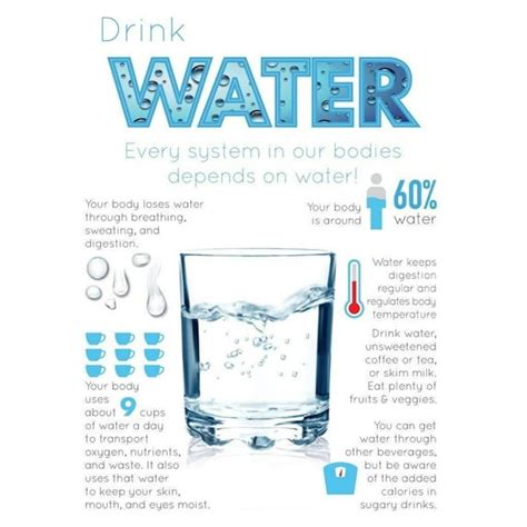 Benefits Of Drinking Water Poster Hydration Poster