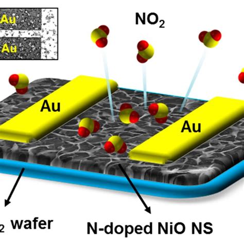 A Schematic Illustration And A Top View Image Of A Three Dimensional Download Scientific