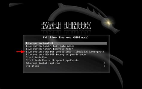 How To Install Kali Linux On A Portable USB Device