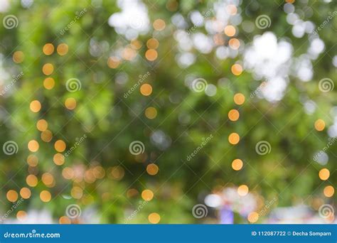 Blur Event Stock Photo Image Of Blurred Party Snack