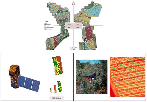 🍇🍇 From Space To Field Combining Satellite Uav And Agronomic Data In An Open Source