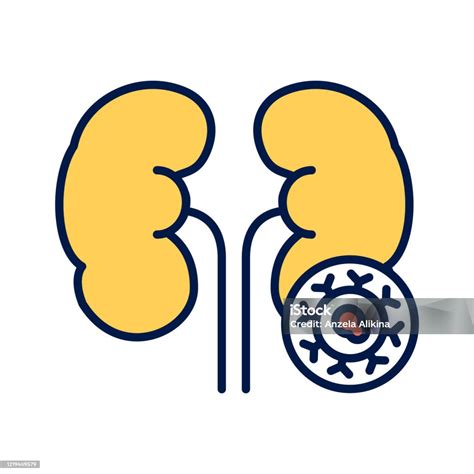 신장암 선 색상 아이콘입니다 종양학 격리된 벡터 요소입니다 웹 페이지 모바일 앱 프로모션에 대한 개요 pictogram 개념에