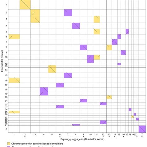 Pairwise Genome Comparison Between Equcab30 And Equusquaggacen