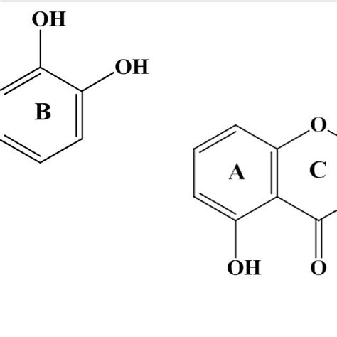 Tlc Chromatograms Of N Butanol Fraction From Tlc Using Mobile Phase