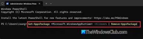 problem with windows app runtime dynamicdependency lifetimemanager