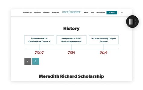 Website Timeline Examples And Best Practices New Media Campaigns