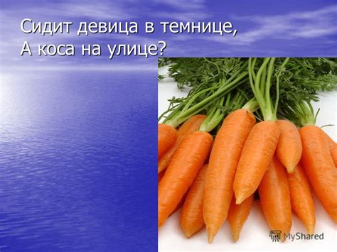 Презентация на тему «Почему нужно есть много овощей и фруктов Проверка изученного