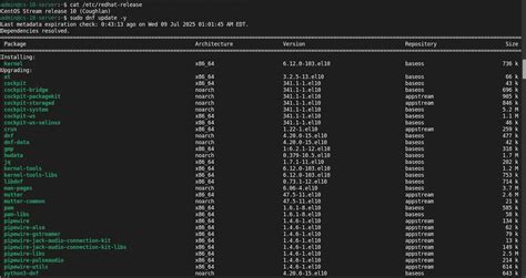 How To Install And Configure Podman On Centos Stream 10 A Step By Step