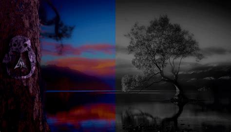 Wallpaper Pack To Match My Xfce4 Desktop Configs