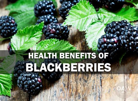 Blackberry Benefits At Joseph Cornwall Blog