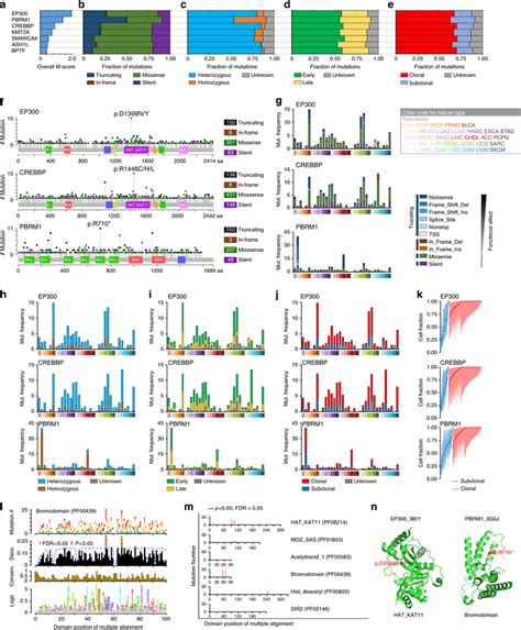 The Putative Cancer Causing Hamps Driven By Somatic Mutations Across