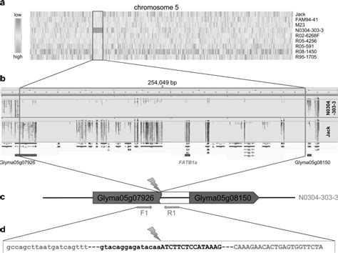Identification And Characterization Of Large Dna Deletions Affecting