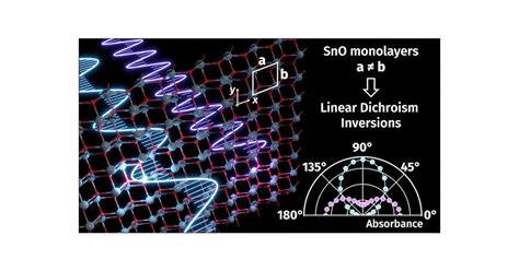 Multiple Linear Dichroism Inversions In Sno Monolayers For Polarization
