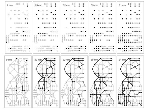 Patterns Of Transient Saturation As A Function Of Rainstorm Amount
