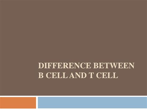 SOLUTION Difference Between B Cell And T Cell Presentation Studypool