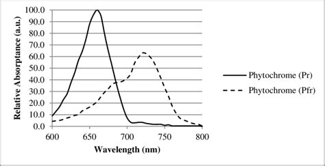 Figure A3 Phytochrome Action Spectra Chlorophyllous Leaves Are