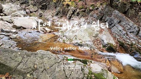 낙엽 잎 가득한 맑은 물 흐르는 자연 그대로의 계곡물소리 Asmr Youtube