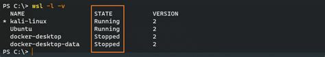 Wslconfig Example