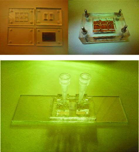 A Master Mold And Assembled Setup For Pdms Molding B Fabricated Download Scientific