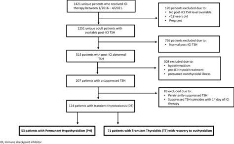 Permanent Hypothyroidism Following Immune Checkpoint Inhibitors Induced Thyroiditis May Be