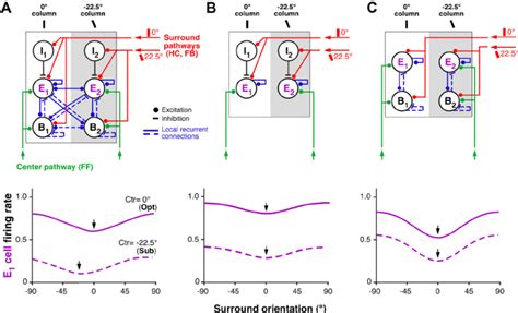 Orientation Dependence Of Surround Suppression In The Model A Tuning Download Scientific