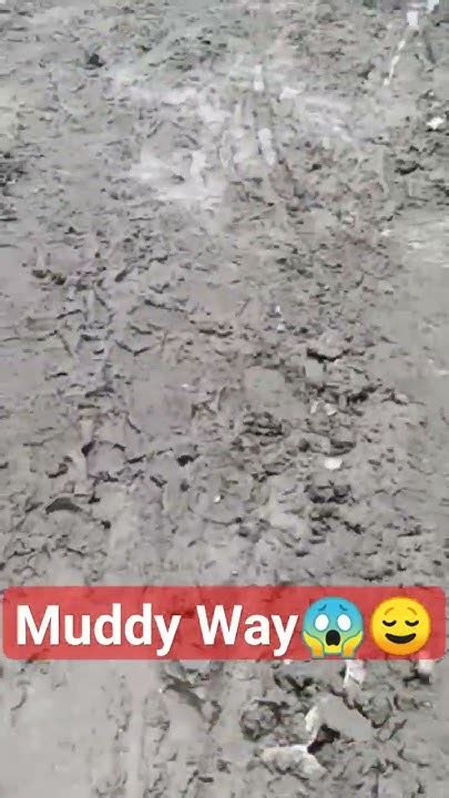 Putik Na Daan 😱😌shorts Mud Viral Trending Muddyway Youtube