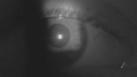 Meet Dora Endre Canvasrebel Magazine